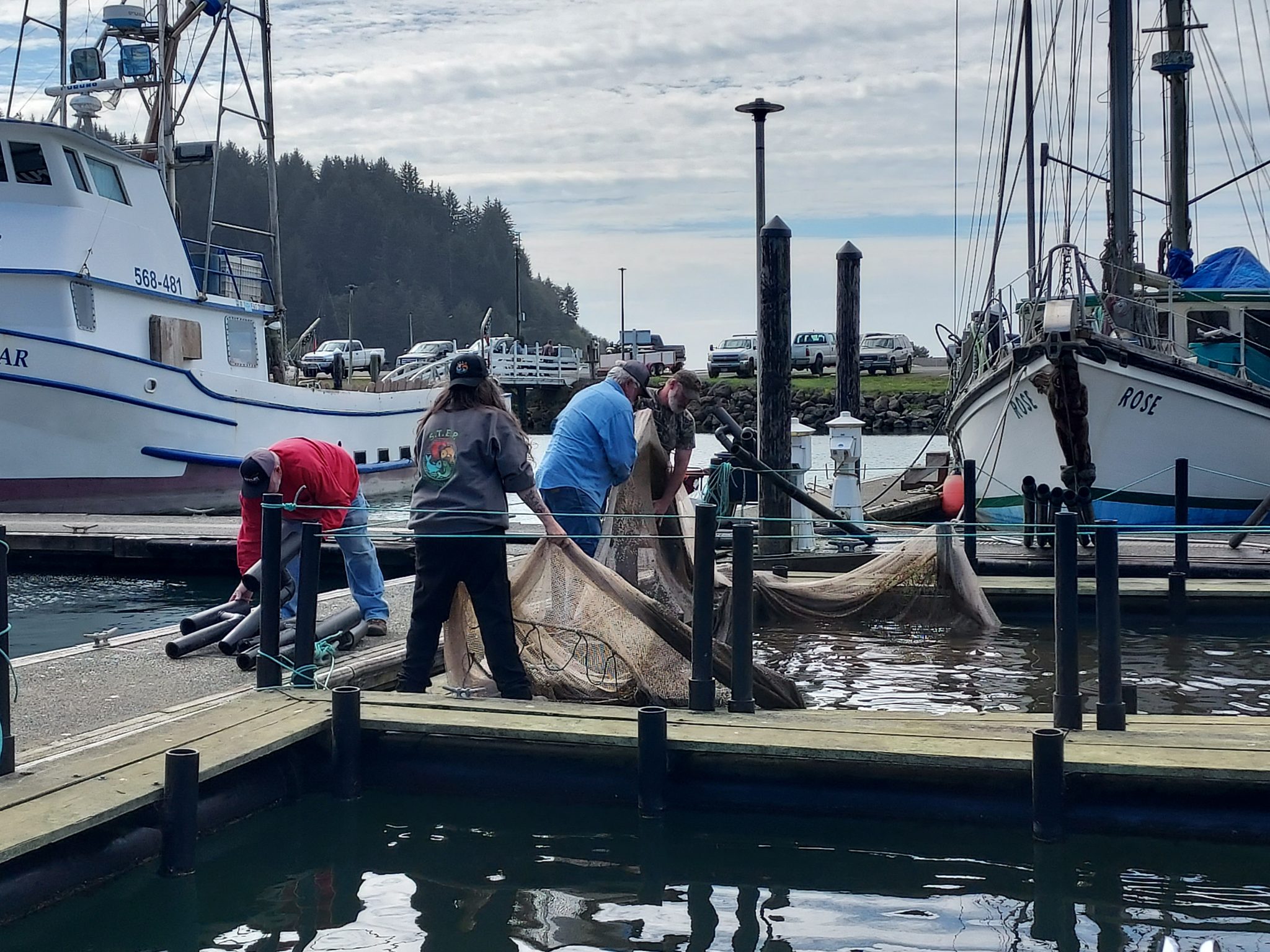 STEP Volunteers Release 32,000 Fall Chinook Salmon Smolt – Gardiner ...
